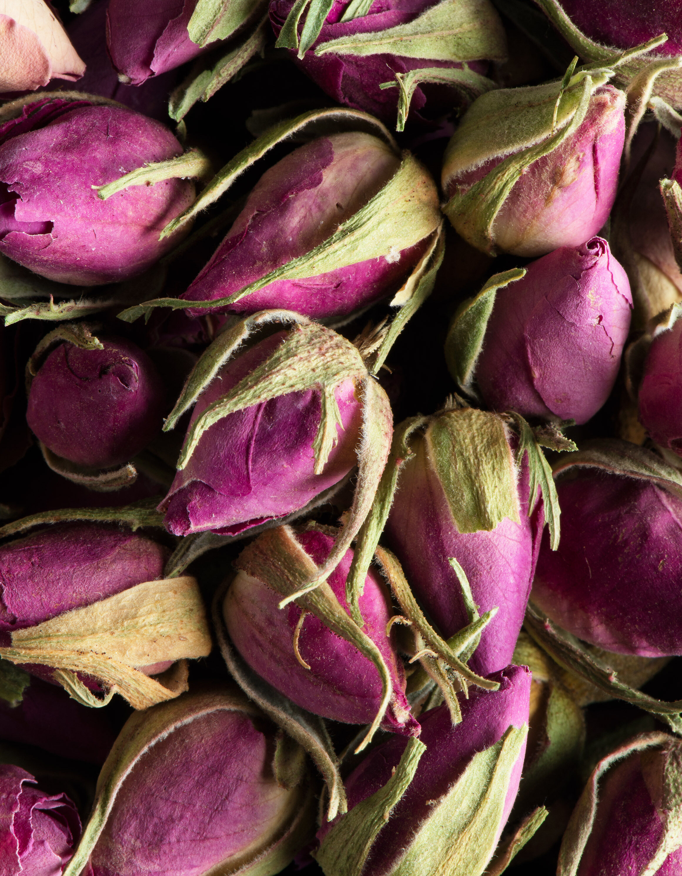 Infusion - Tisanes - N°471 - Boutons de roses