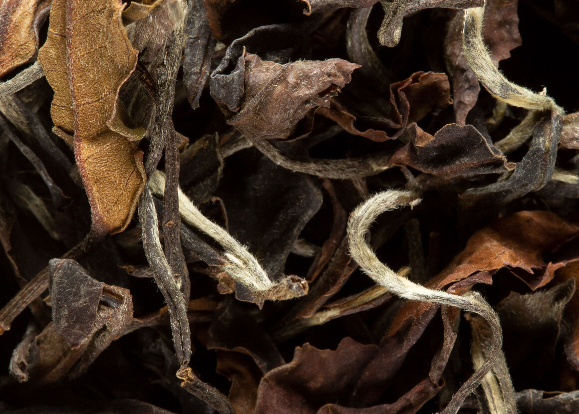 White tea N°614 - TORO BLANCO