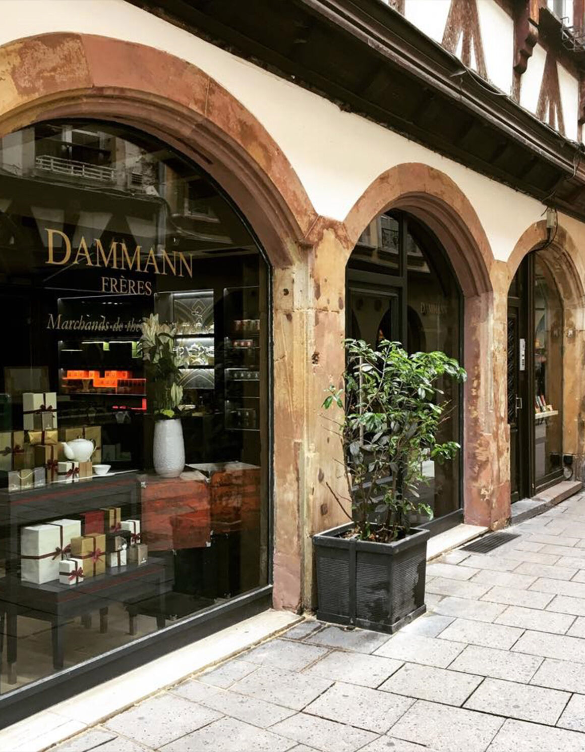 DAMMANN Frères Strasbourg Cathédrale